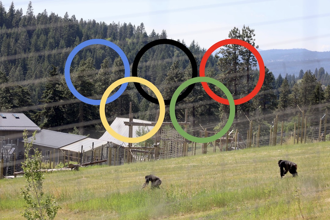 CSNW Olympics